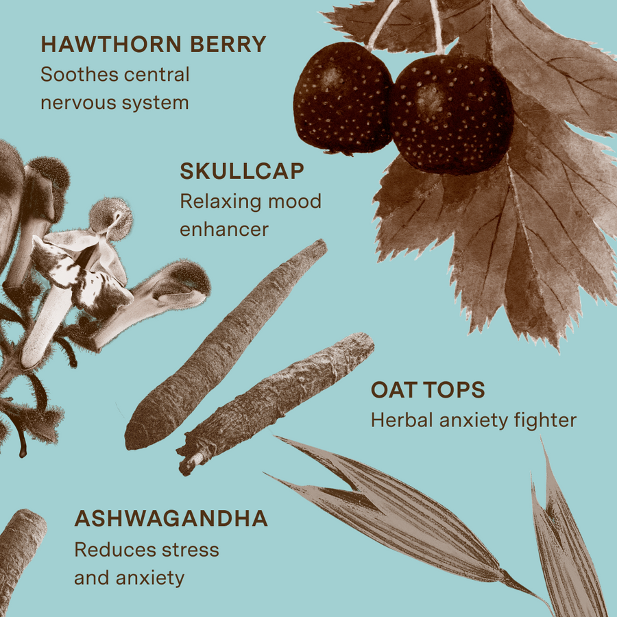 Calm – Plants to the Rescue