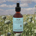 Calm – Plants to the Rescue